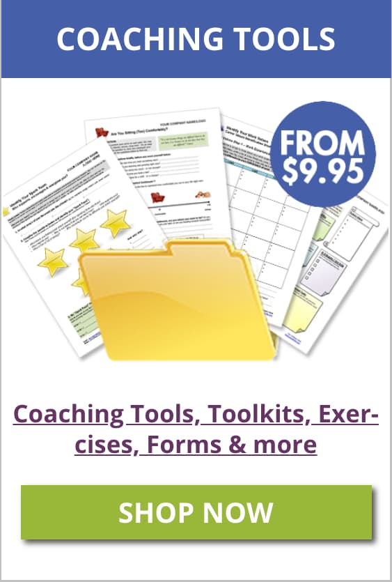 The BE DO HAVE Model Simplified